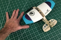 - RC Gliders Radio Control DLG Micro Gliders Airplane Kits Balsa Wood