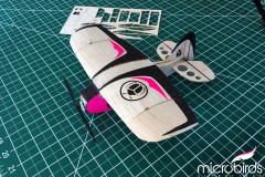 - RC Gliders Radio Control DLG Micro Gliders Airplane Kits Balsa Wood