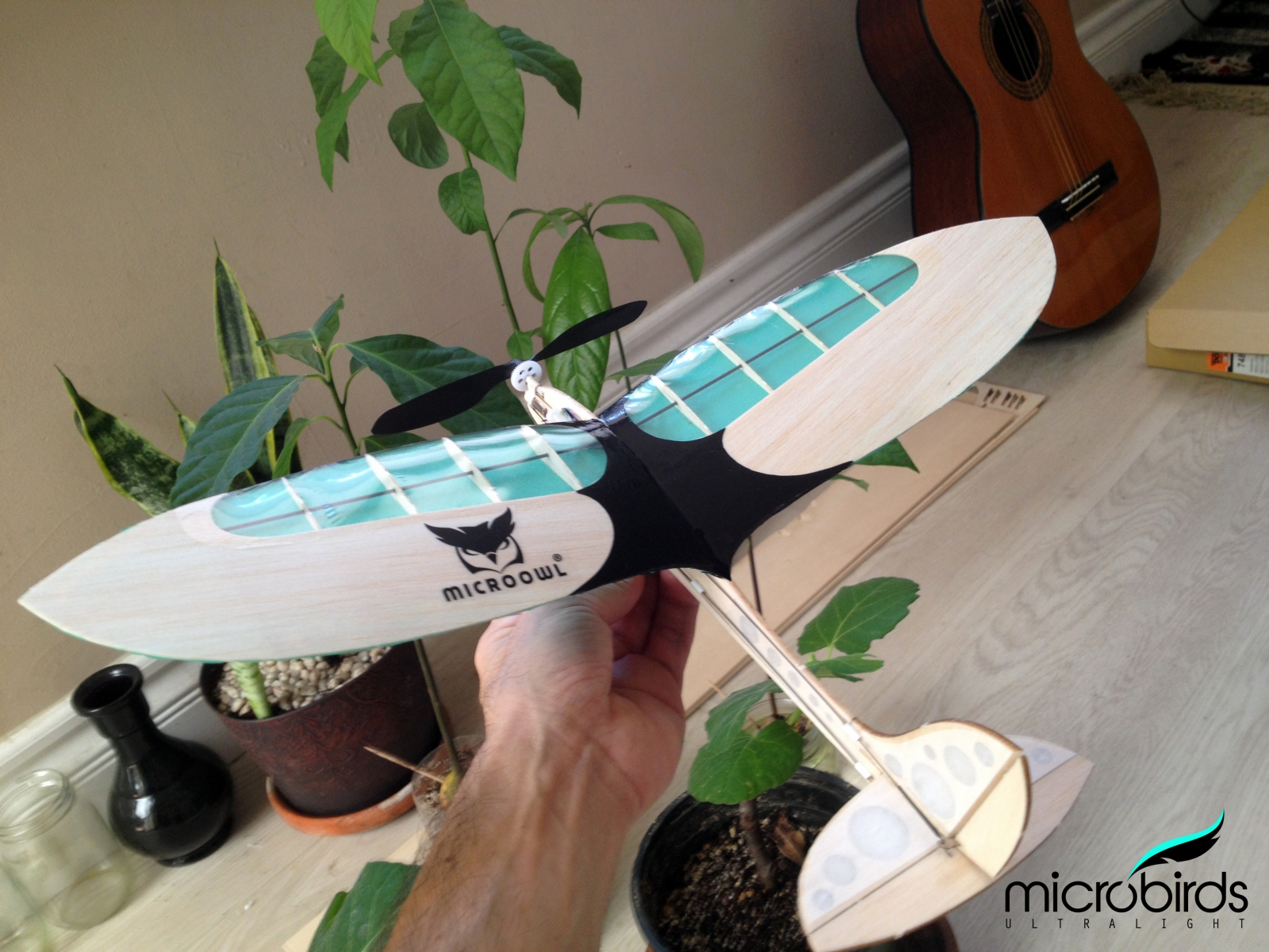 Micro Owl – UltraLight Micro Powered RC Airplane – RC Gliders Radio ...