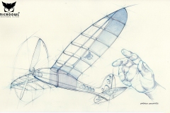 - RC Gliders Radio Control DLG Micro Gliders Airplane Kits Balsa Wood