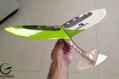 - RC Gliders Radio Control DLG Micro Gliders Airplane Kits Balsa Wood