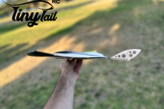 Tiny Tail RC Glider - Free Flight Glider - Red Tail Hawk Inspired