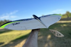 Tiny Tail RC Glider - Free Flight Glider - Red Tail Hawk Inspired