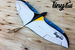 Tiny Tail RC Glider - Free Flight Glider - Red Tail Hawk Inspired