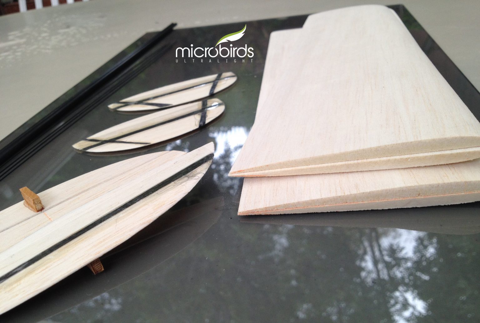 Micro Remote Control RC Glider - RC Gliders Radio Control DLG Micro ...