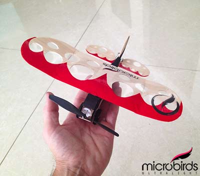 RC Gliders Radio Control DLG Micro Gliders