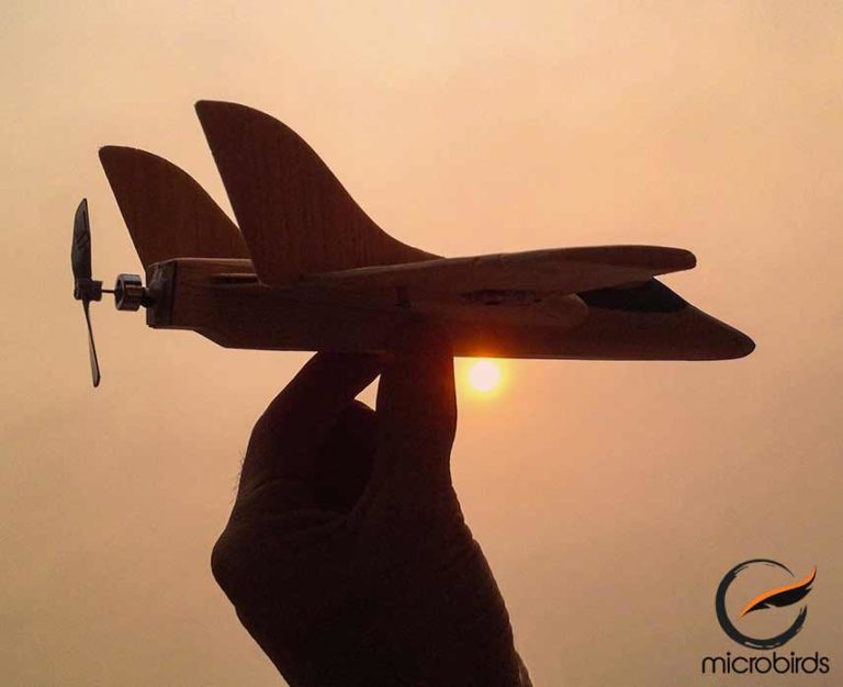 Micro Funjet Ultra 2 - RC Gliders Radio Control DLG Micro Gliders ...