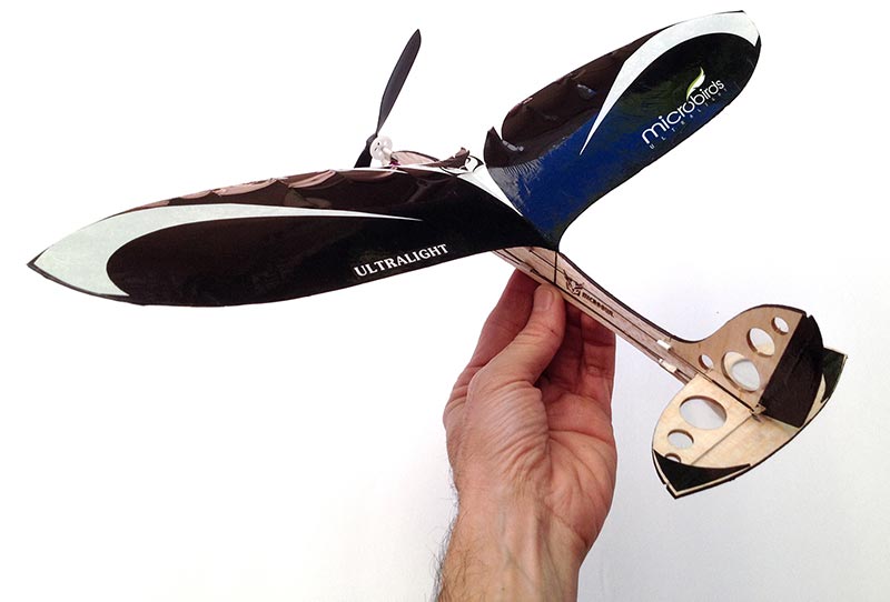 RC Gliders Radio Control DLG Kits Glider Planes Micro Models