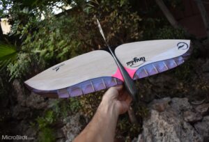 RC Gliders Radio Control DLG Micro Gliders Airplane Kits Balsa Wood