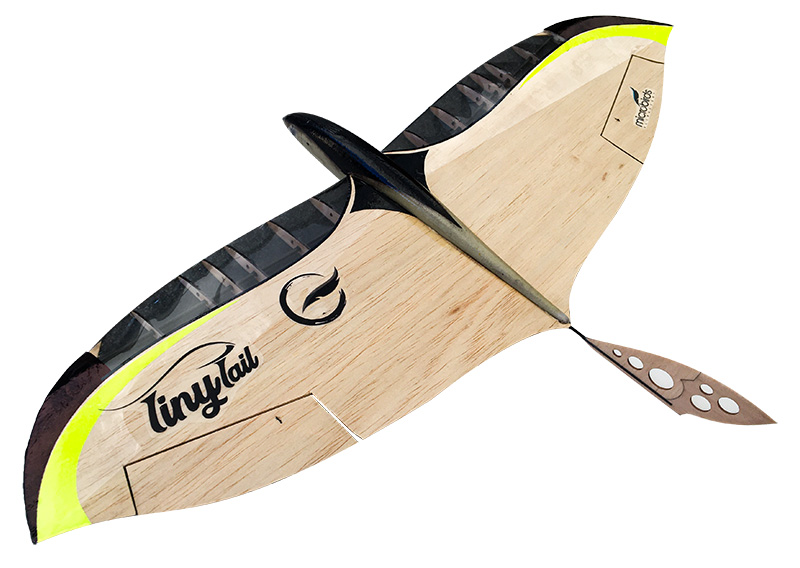 RC Gliders Radio Control DLG Micro Gliders Airplane Kits Balsa Wood